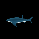 cjwbw/shap-e | Run with an API on Replicate